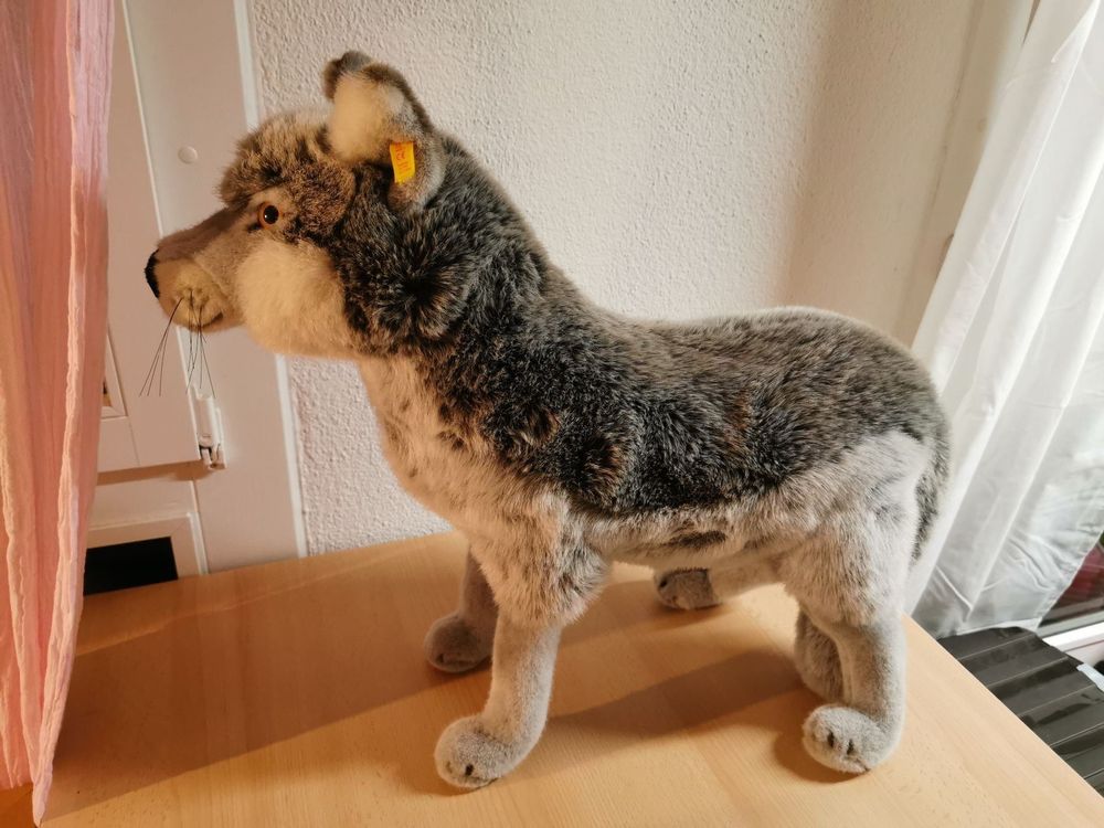 Grosser Steiff Wolf stehend Rarität! (Gebraucht) in Flamatt für CHF 104 ...
