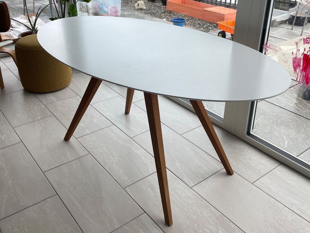 Esstisch Oval Interio (Gebraucht) in Ennetbaden für CHF 50 – nur ...
