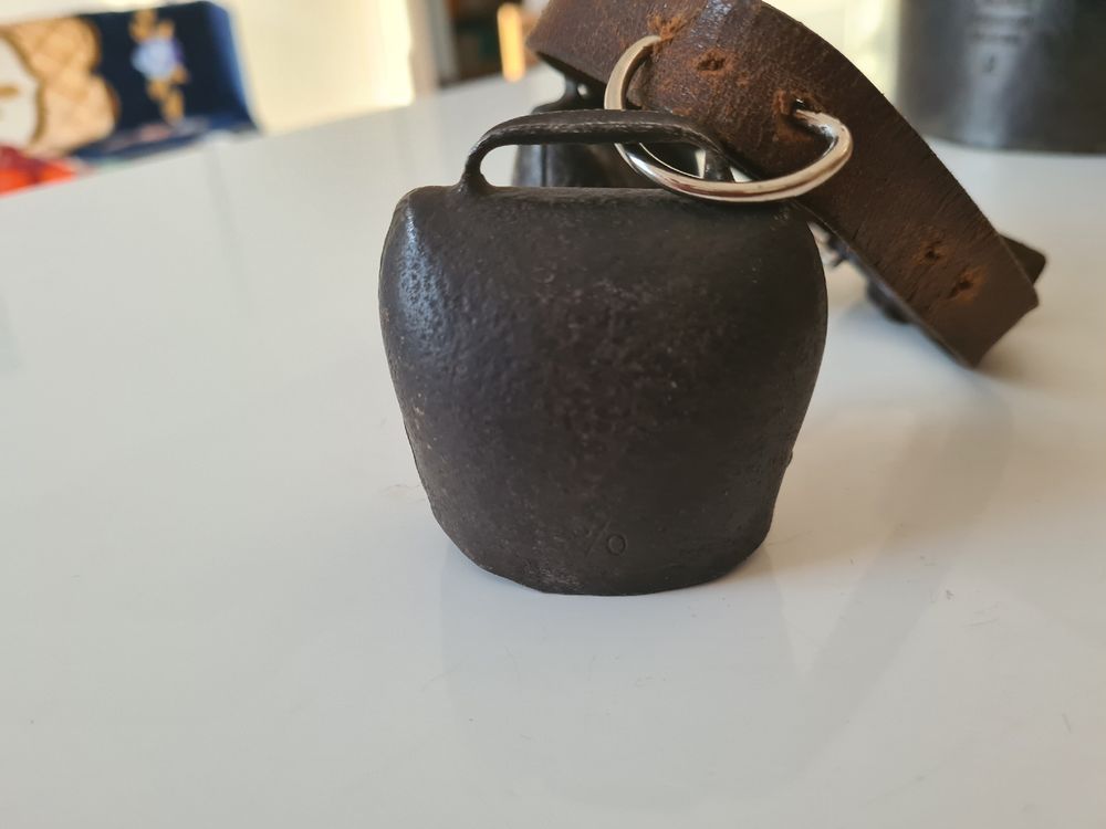 Treichel Devouassoud Chamonix (Gebraucht) in Luzern für CHF 55 – mit ...