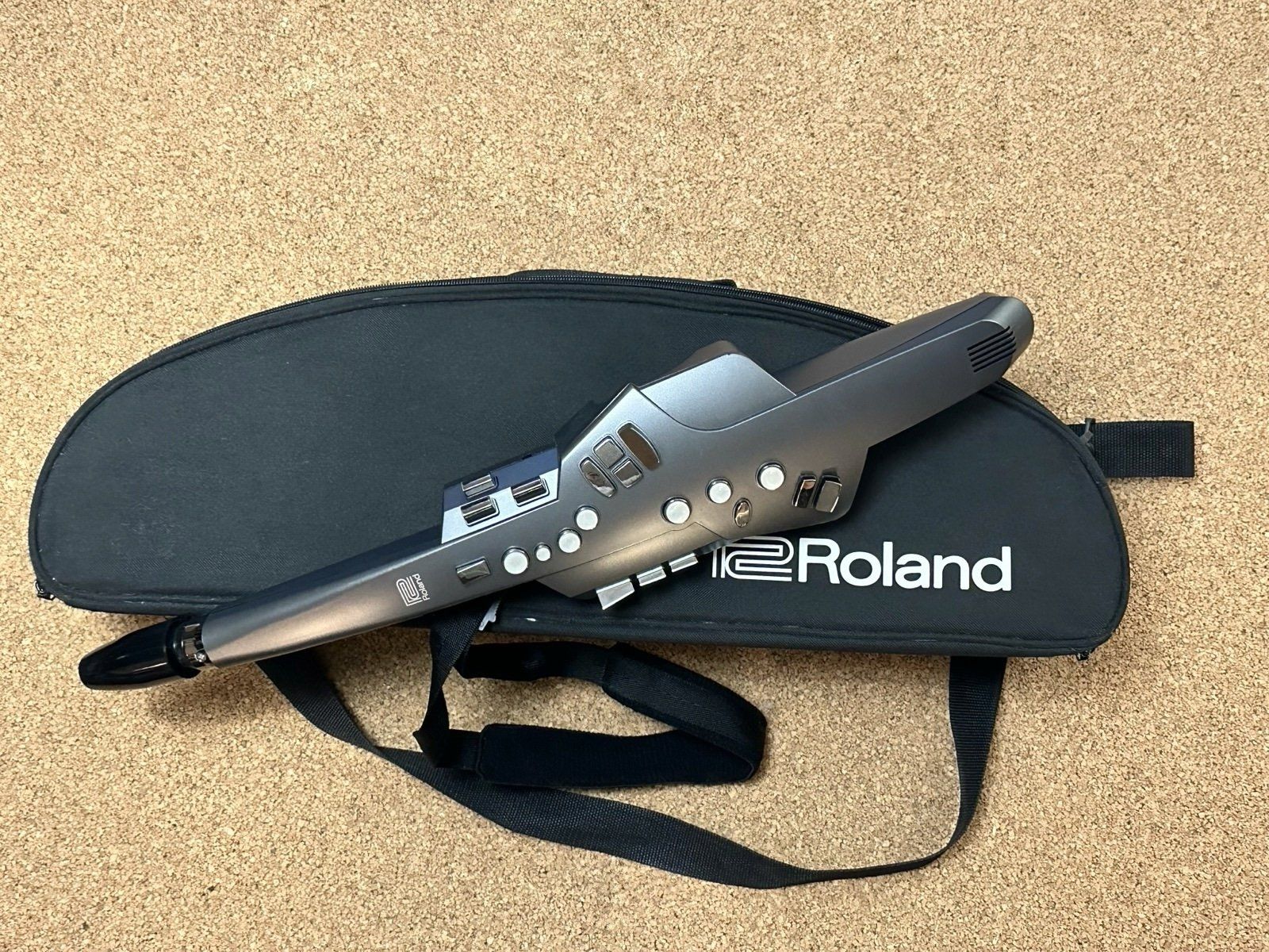 Roland Aerophone AE-10 Instrument à vent numérique (Gebraucht) in ...