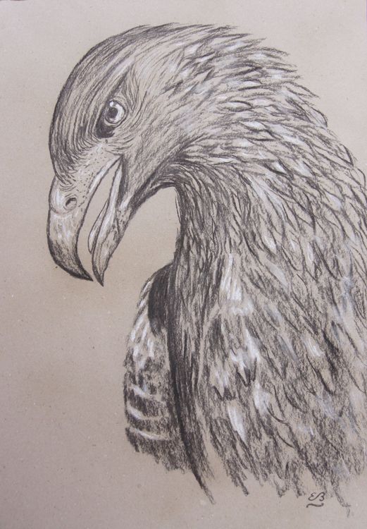 Zeichnung: Adler II (Neu (gemäss Beschreibung)) in Fribourg für CHF 10 ...