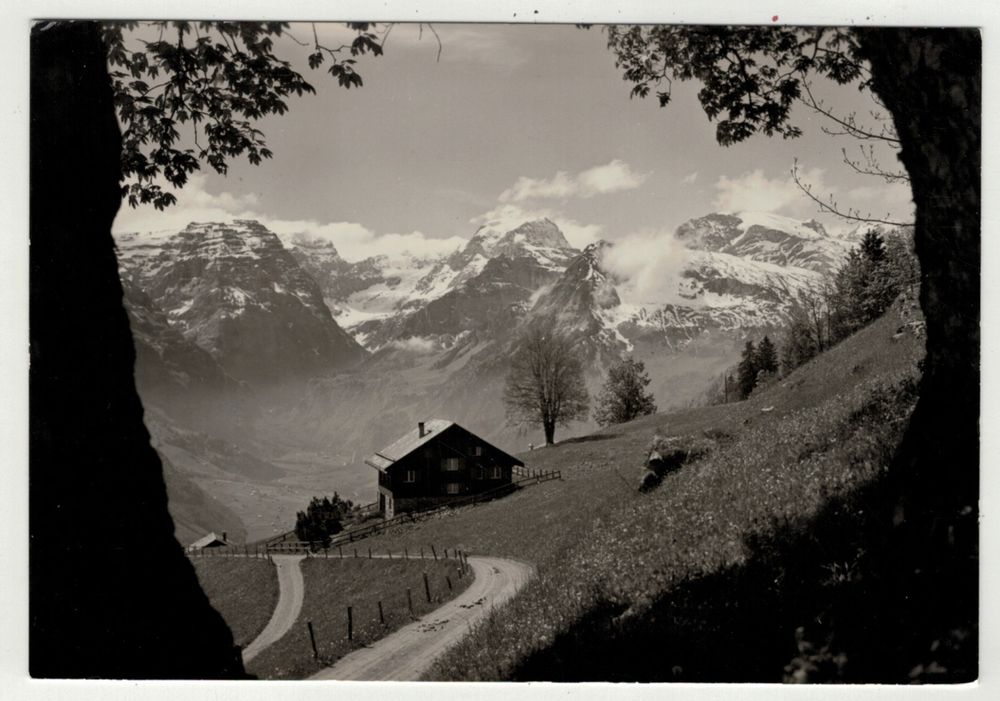 Braunwald (Gebraucht) in La Tour-de-Peilz für CHF 2 – mit Lieferung auf ...