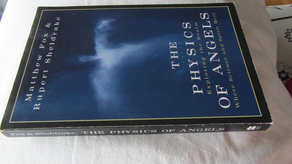 The Physics of Angels, Matthew Fox & Rupert Sheldrake (Gebraucht) in ...