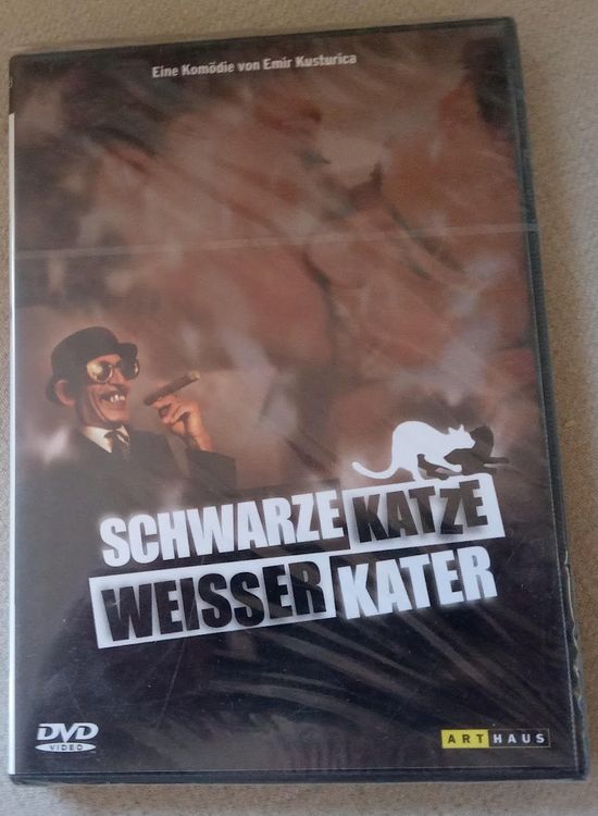 Schwarze Katze, weißer Kater | Kaufen auf Ricardo