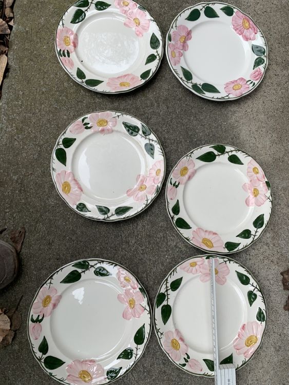 Villeroy & Boch Wild-Rose Teller 20cm 6er Set | Kaufen auf Ricardo