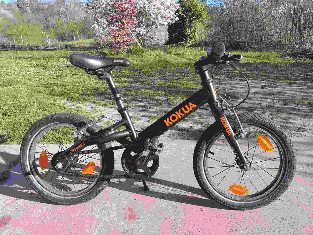 Vélo enfant KOKUA 16" (D'occasion) à Domdidier pour CHF 150 – retrait ...