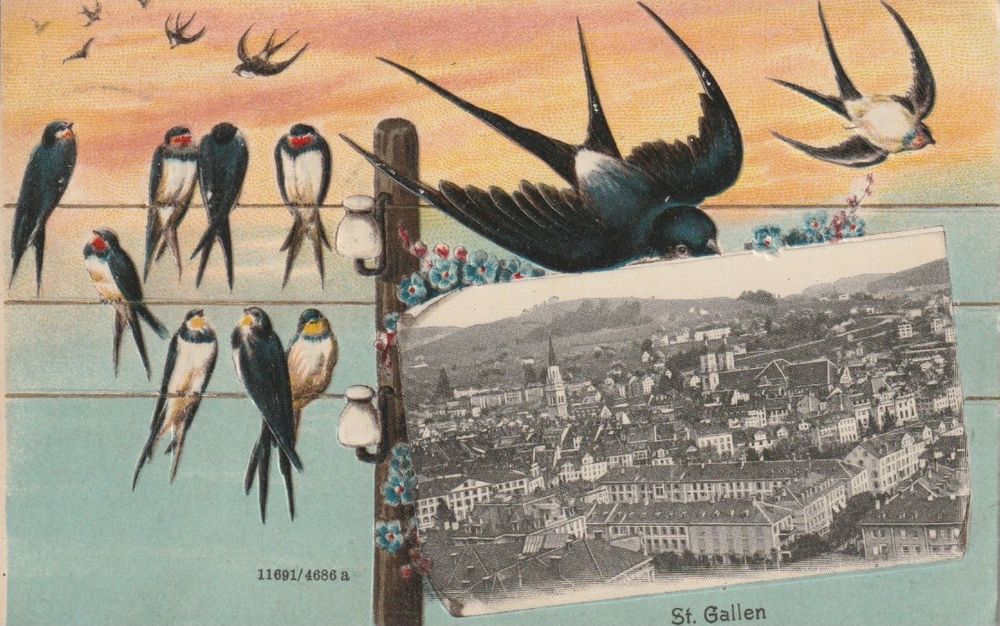 CH 201 St. Gallen mit Mauerseglern, Prägedruck, 1909 (Gebraucht) in Freienbach für CHF 10 – mit ...