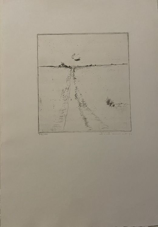 Hartwig HAMER (1943) Litho.Handsig.Numerirt (Gebraucht) in Root für CHF 5 – mit Lieferung auf ...