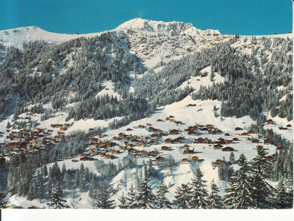 Adelboden Schlegeli 1973 (Gebraucht) in Bürglen TG für CHF 0.9 – mit ...