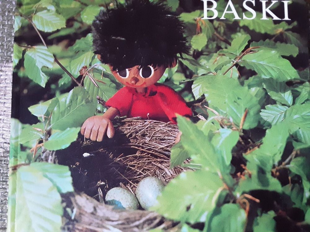 Bilderbuch Baski | Kaufen auf Ricardo