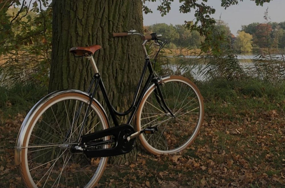 Velo Bella Ciao Corvo Città Donna 54cm, Shimano Nexus 3-Gang (Neu ...