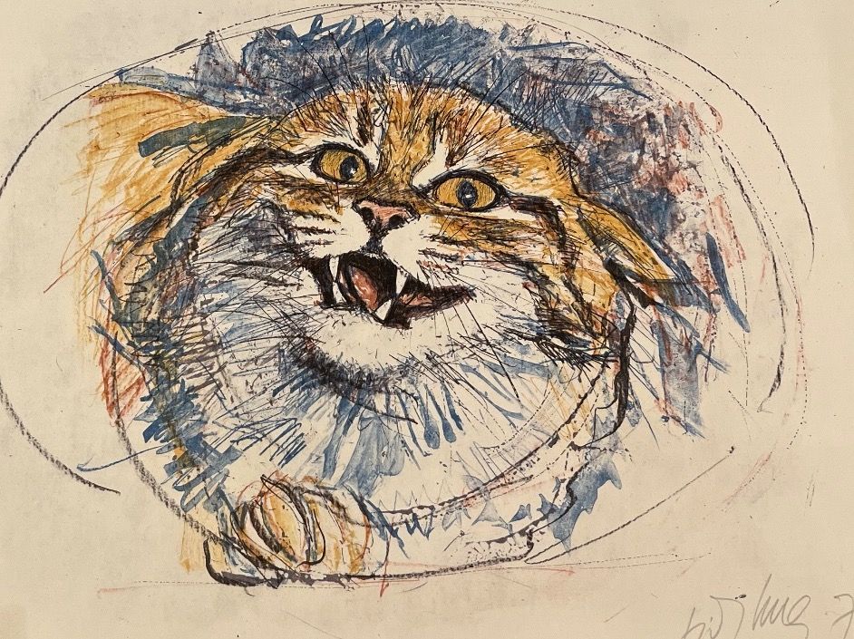 Original Bild Hug nummeriert und signiert (Gebraucht) in für CHF 43 ...