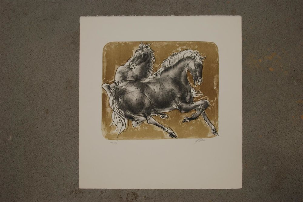 Erni Hans, Farblithografie handsigniert (Gebraucht) in Schlieren für CHF 106 – mit Lieferung auf ...