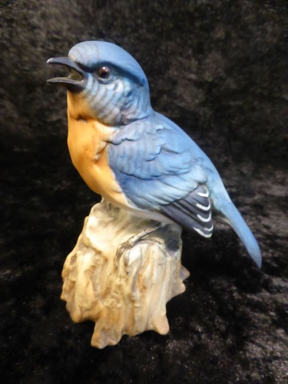 schöner Vogel von Kaiser (Gebraucht) in Vaduz für CHF 21.9 – mit ...