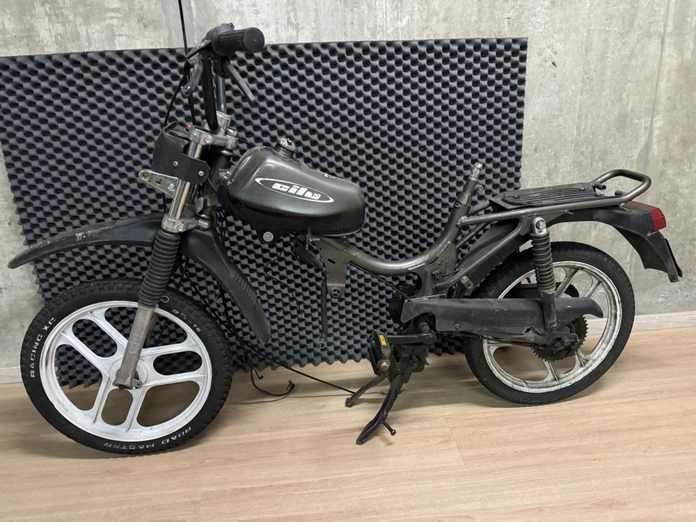 Pony Cilo (Défectueux) à Carouge GE pour CHF 400 – retrait uniquement ...