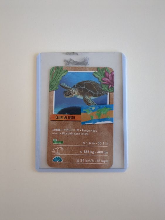 2024 Playmobil Wiltopia Green Sea Turtle Karte (Neu (gemäss ...