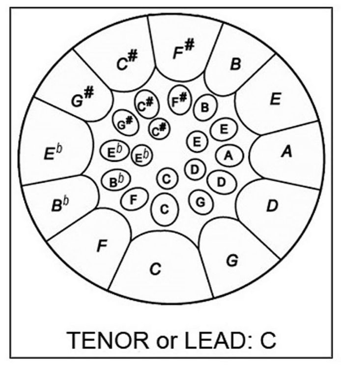 Tenor Steeldrum Steel Pan Drum in C Karibik Stahl Trommel (Gebraucht ...