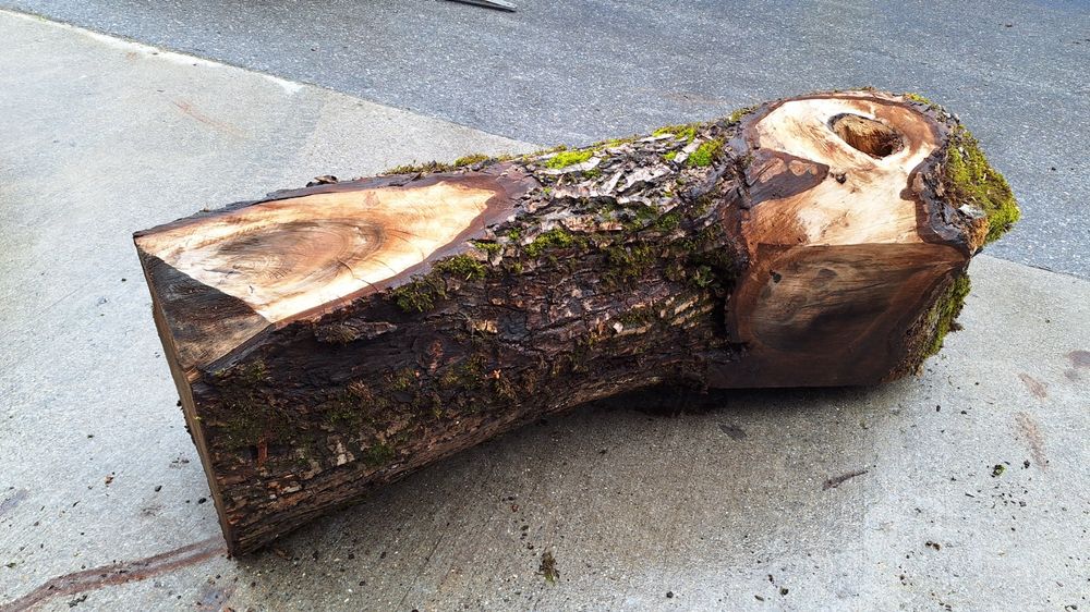 Nussholz Stamm Nuss Holz Nussbaumholz drechseln basteln (Neu (gemäss ...