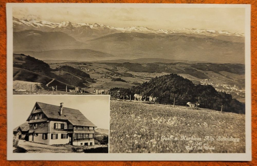 Alp Scheidegg, Wald, "95 Jahre Alter Karte" vom 1930 (Gebraucht) in St Gallen für CHF 6 – mit ...