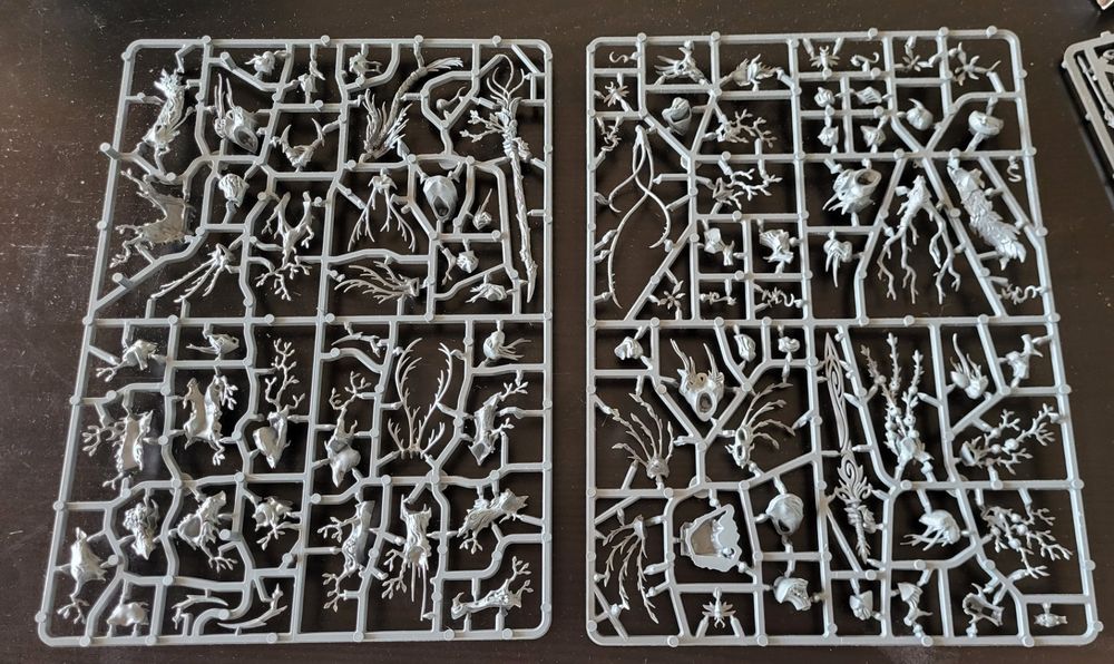 Warhammer Age of Sigmar: Echoes of Doom Sylvaneth (Neu (gemäss ...