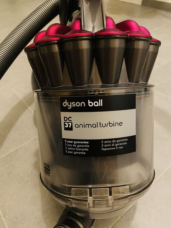 Dyson „animal turbine DC37“ | Kaufen auf Ricardo