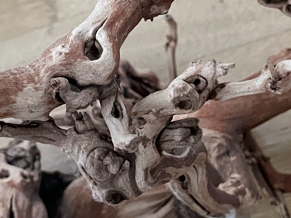 Terrarium Wurzel / Holz Deko 92cm | Kaufen auf Ricardo