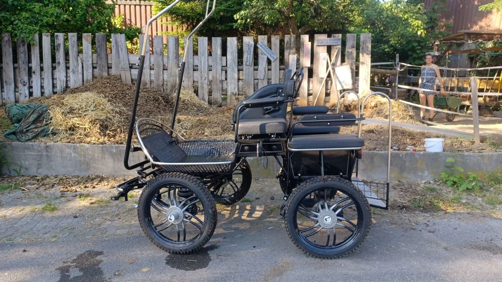 HL Marathonkutsche von Kutzmann (Gebraucht) in St. Peter für CHF 1500 ...