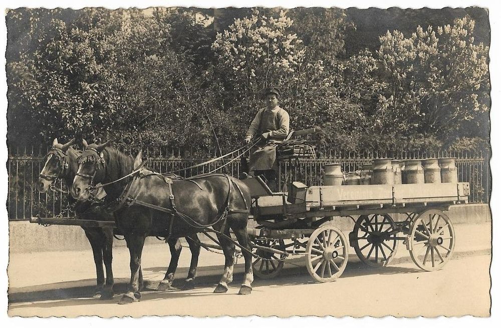 ZÜRCHER MOLKEREIEN: Echt-Foto-AK Pferdefuhrwerk ~1935 (Gebraucht) in Engelburg für CHF 48 – mit ...