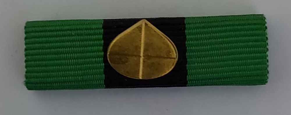 Ribbon CH Armee Sport (Gebraucht) in Grüningen für CHF 10 – mit ...