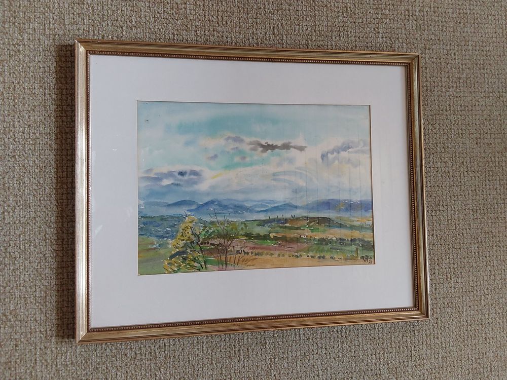 Walter Sautter. Aquarelle Signiert. 1973 Mit Rahmen 50x62cm. (Gebraucht) in Steinach für CHF 49 ...