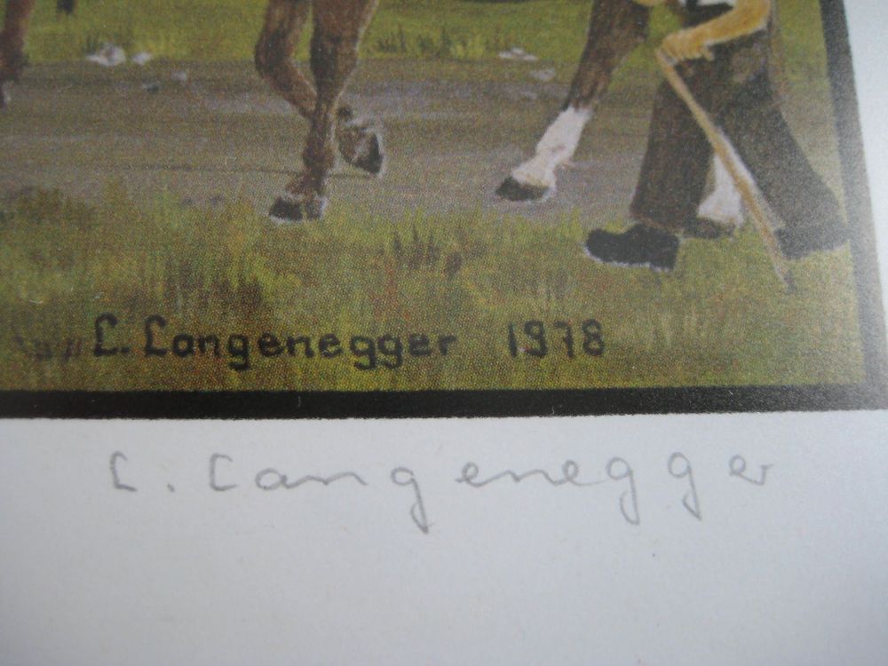 Appenzeller Bild Lilly Langenegger sign. | Kaufen auf Ricardo