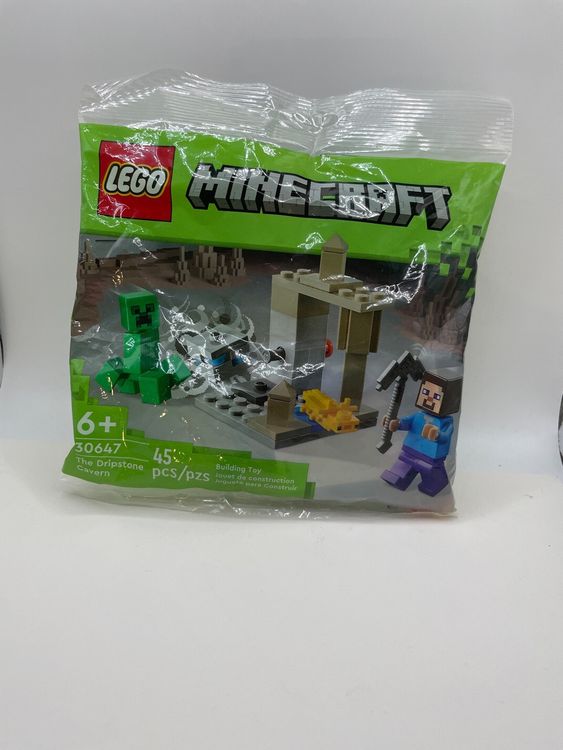 LEGO Minecraft 30647 Die Tropfsteinhöhle, neu & OVP! | Kaufen auf Ricardo