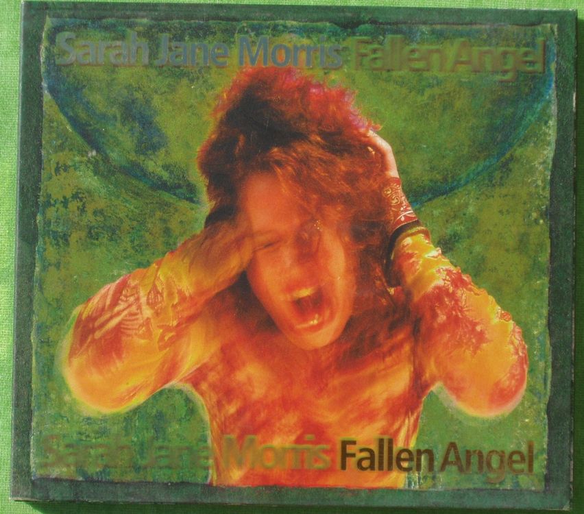 Sarah Jane MORRIS : Fallen angel (Neu (gemäss Beschreibung)) in ...