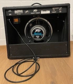 Gitarrenverstärker Peavey Express 112 | Kaufen auf Ricardo