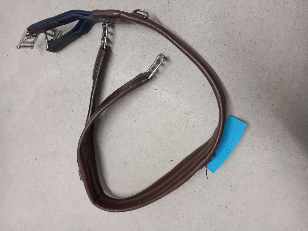 Sattelgurte 125cm (Gebraucht) in Roggwil TG für CHF 15 – mit Lieferung auf Ricardo kaufen