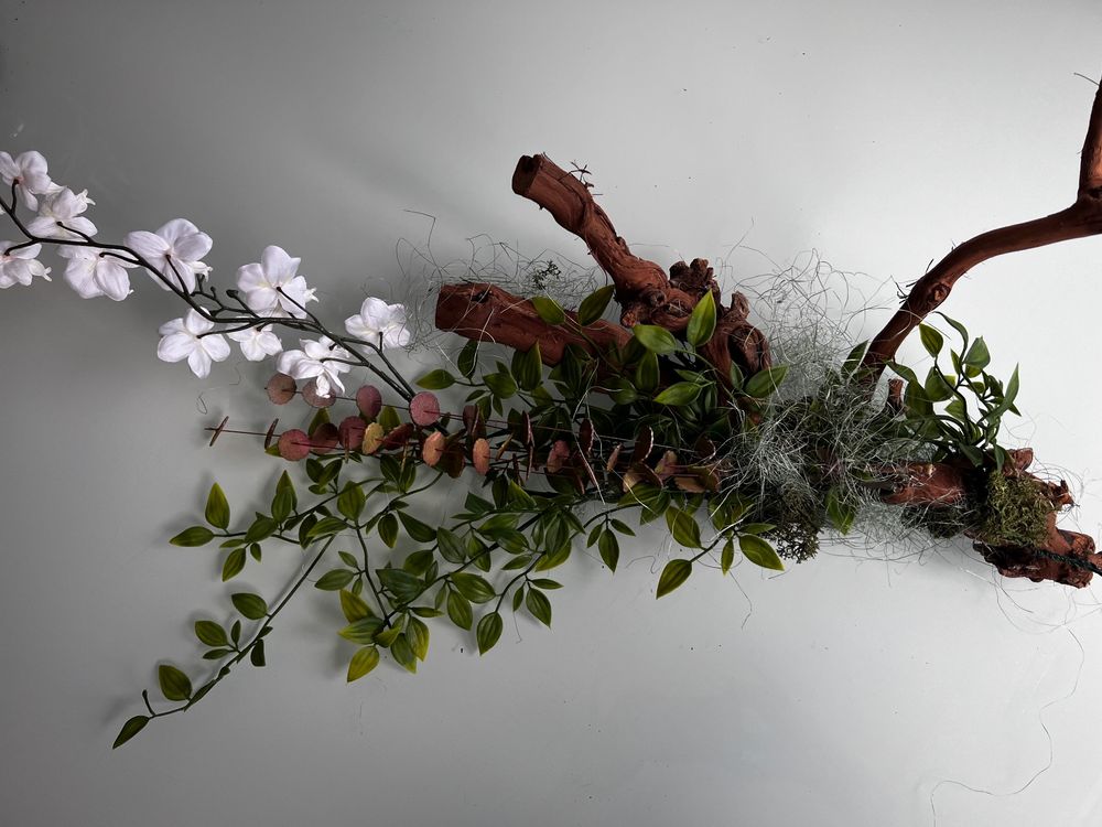 Dekopflanze (Gebraucht) in Winterthur für CHF 15 – nur Abholung auf Ricardo kaufen