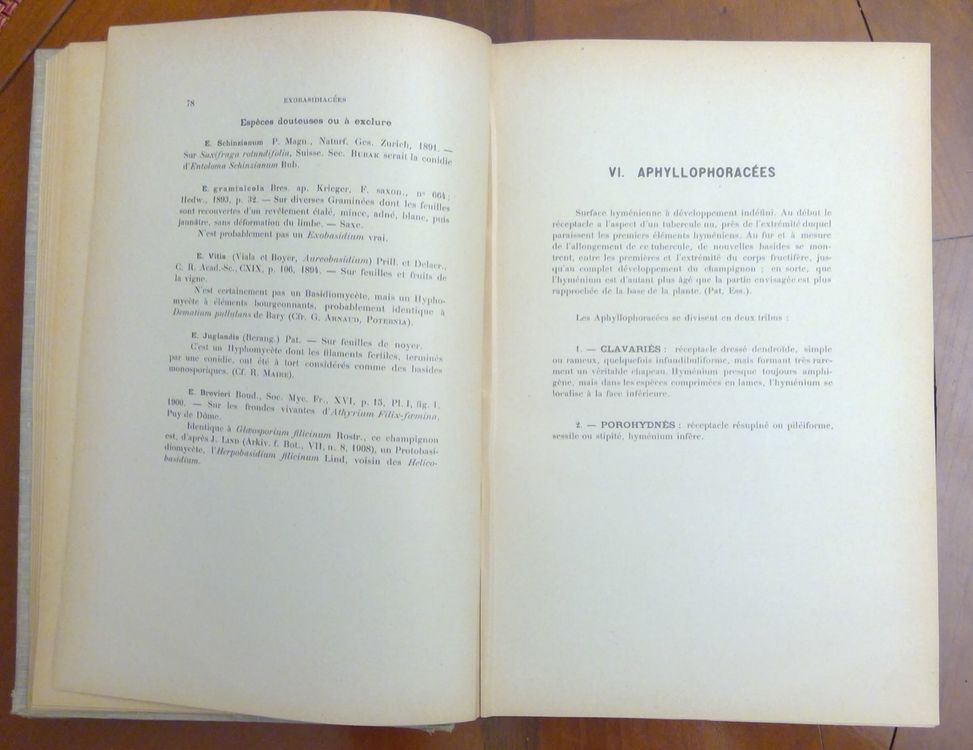 Champignons: Hyménomycètes de France, Bourdot/Galzin 1927 | Kaufen auf ...