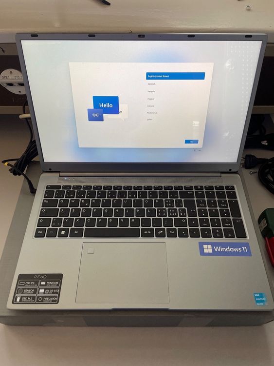 PEAQ Classic C171V-2G856C Notebook 17.3 ", 256 GB SSD, Grau (Neu ...