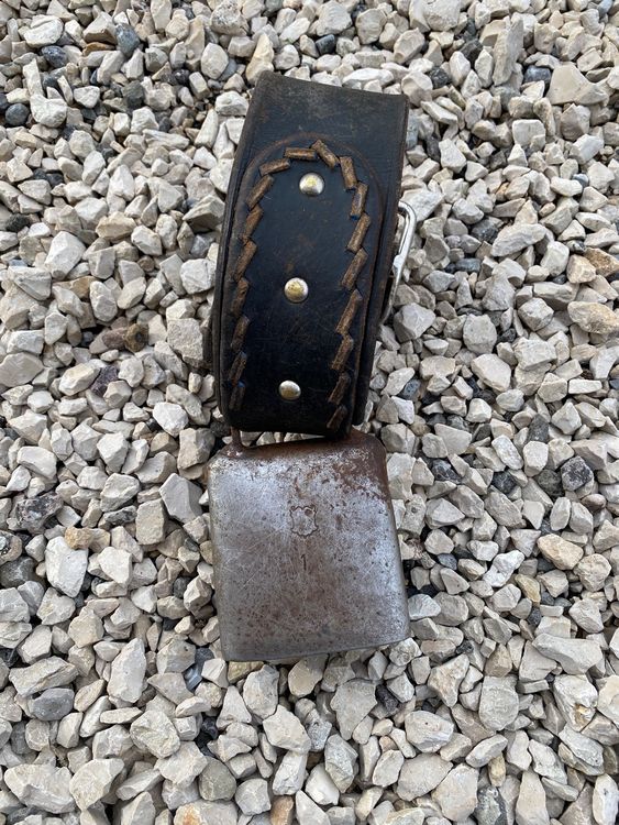 Cloche à vaches | Kaufen auf Ricardo