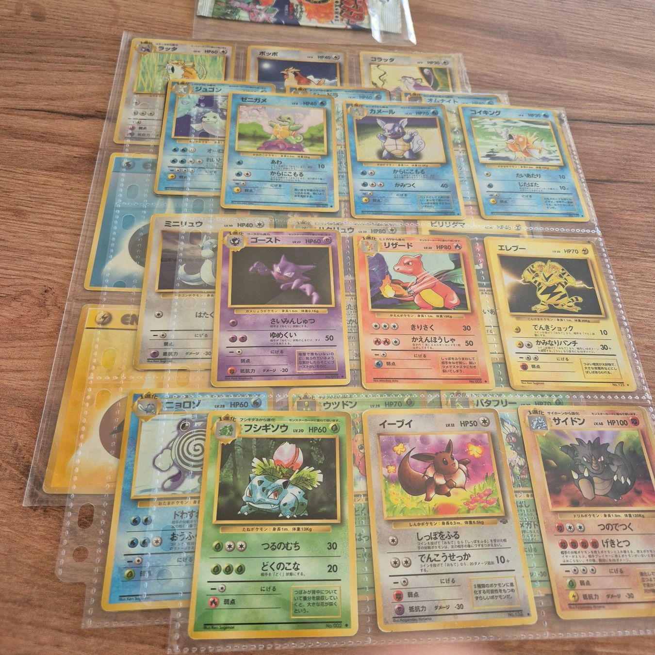 Pokémon sammlung JP expansion pack 1996 XXL + Booster Leer (Gebraucht ...