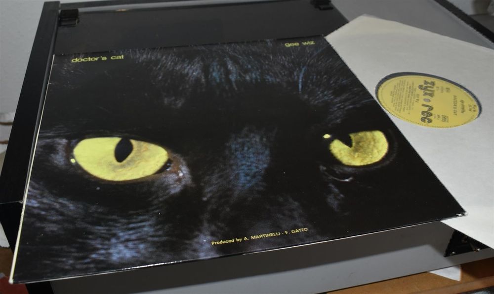 ITALO DISCO Doctor's Cat – Gee Wiz LP (Gebraucht) in Pfaffhausen für ...
