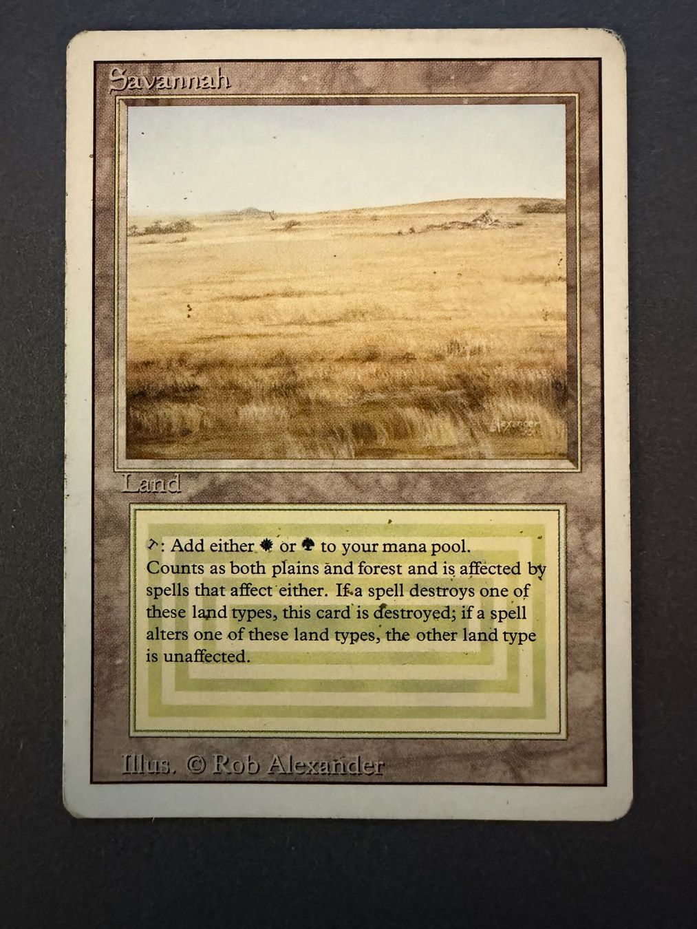 Savannah // Doppelland // Revised // Magic The Gathering (Gebraucht) in ...
