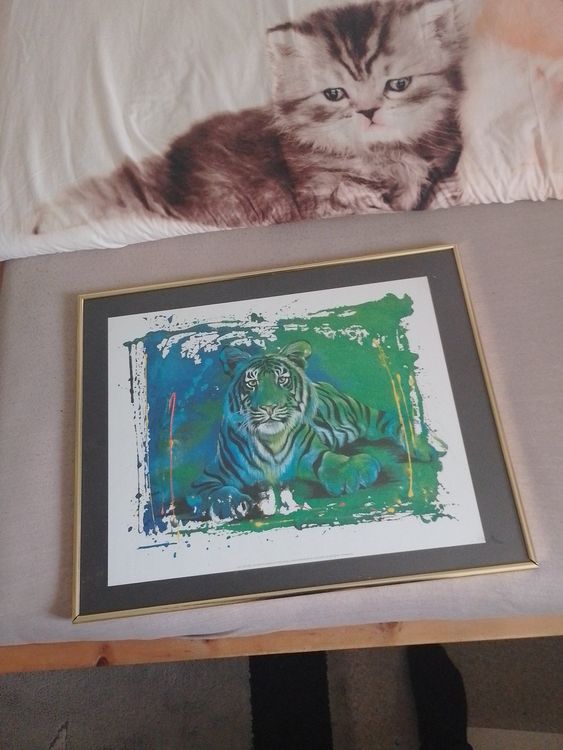 Bild Tiger, Rolf Knie (Gebraucht) in Weinfelden für CHF 113.65 – nur Abholung auf Ricardo kaufen