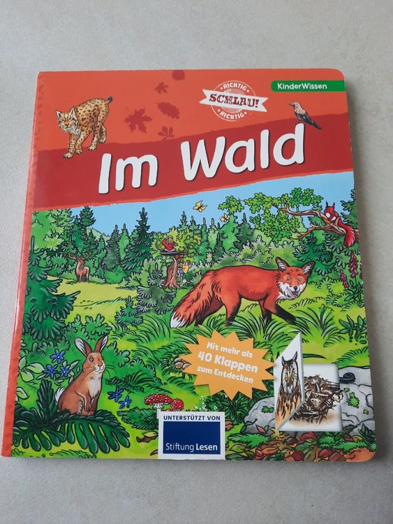 Im Wald | Kaufen auf Ricardo