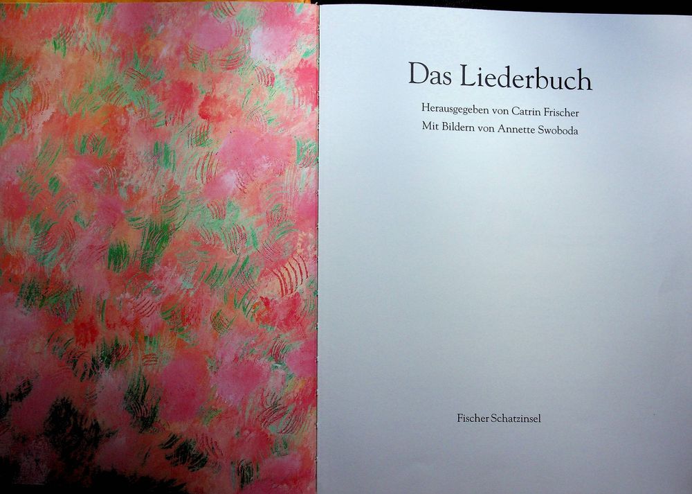Annette Swoboda Das Liederbuch Fischer 16. Aufl. 2010 | Kaufen auf Ricardo