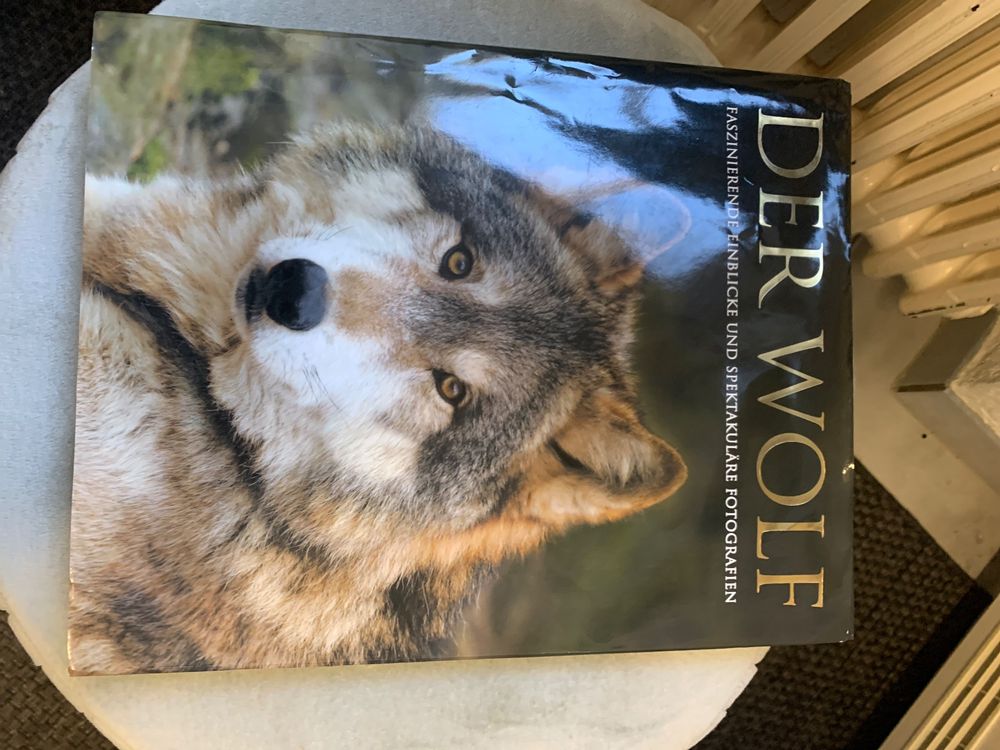 Buch Der Wolf | Kaufen auf Ricardo