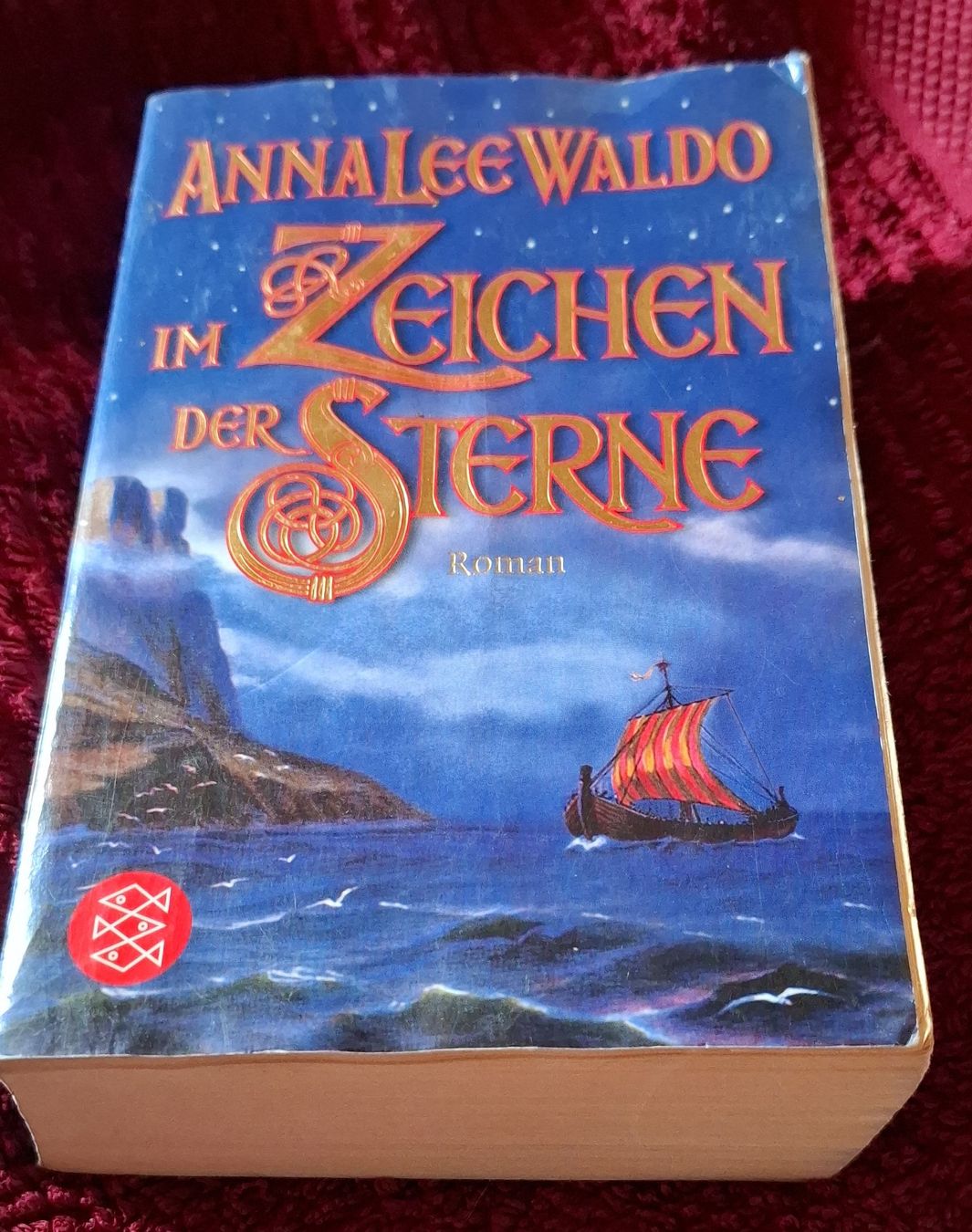 AnnaLee Waldo: Im Zeichen der Sterne – Roman für kalte Tage (Gebraucht ...