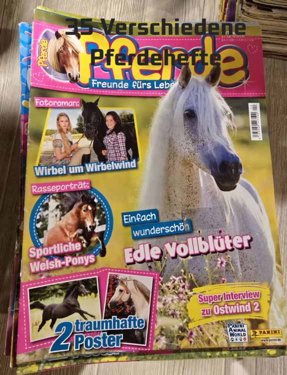 Pferdehefte Wendy, Jessy, Pferde (Gebraucht) in Schüpfheim für CHF 20 – mit Lieferung auf ...