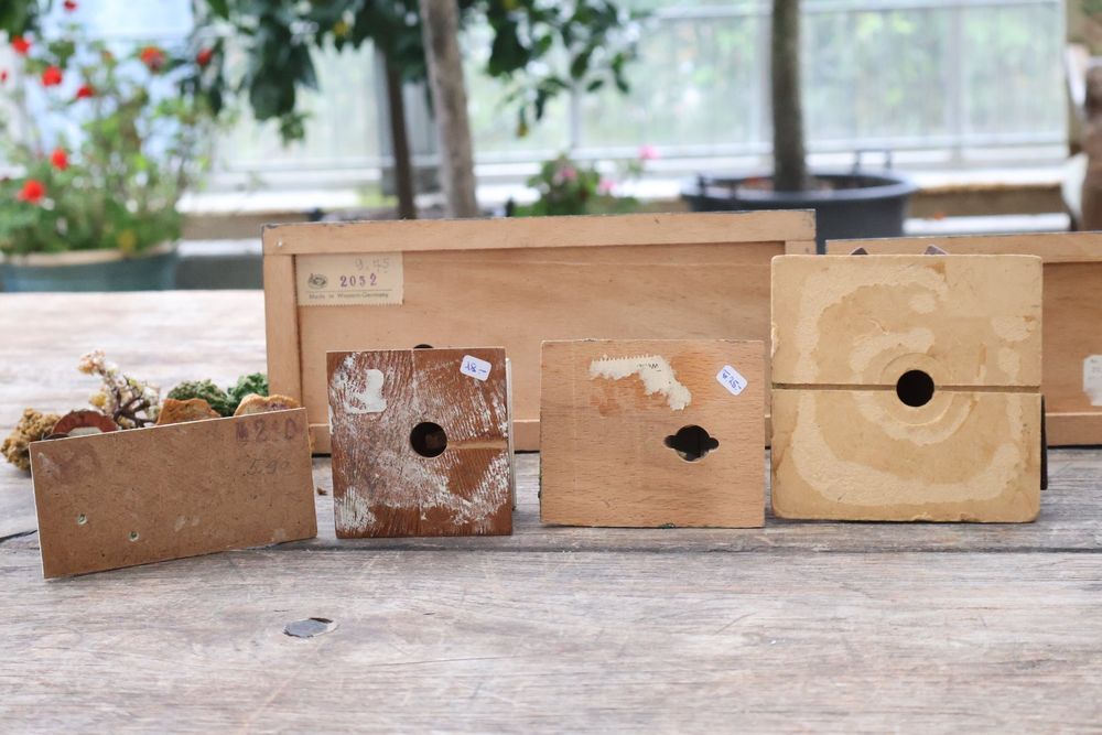 Vau-Pe / Faller Holz Häuser + schöne Holz Bäume - 1950er (Gebraucht) in ...