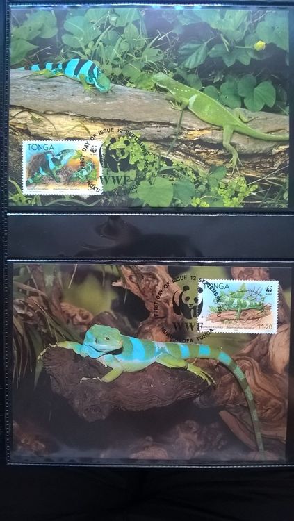 WWF Tonga 1990 Kurzkammleguan Satz Maximumkarten (Neu (gemäss Beschreibung)) in Liestal für CHF ...